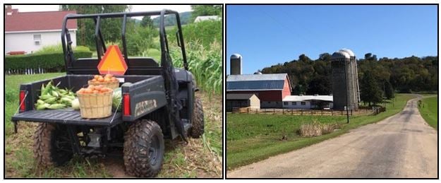 UTVs - 4 Considerations For The Farm